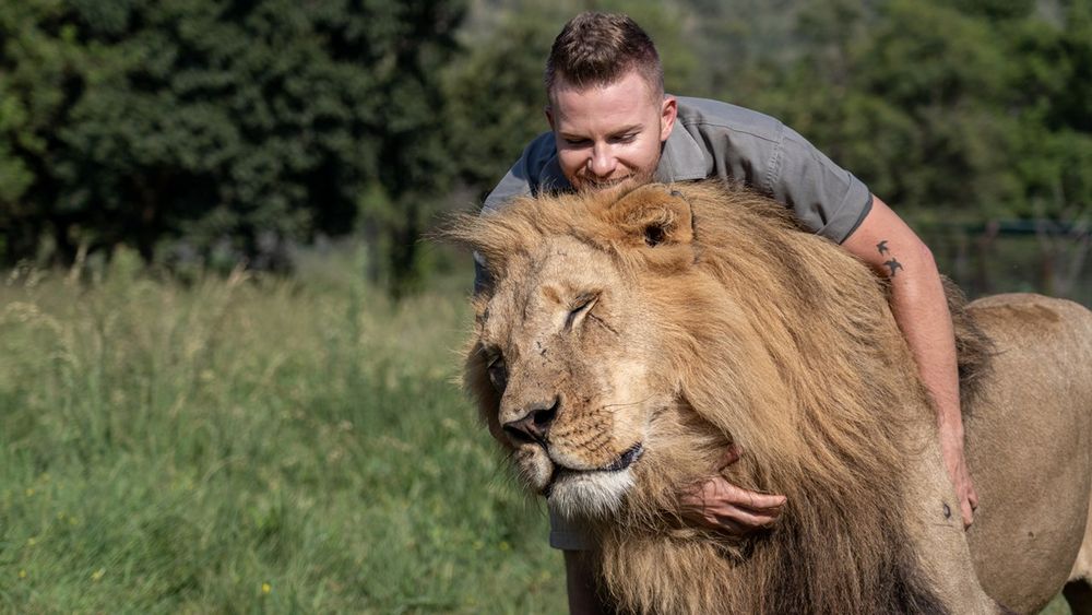 Top South African Influencers to Follow in 2026