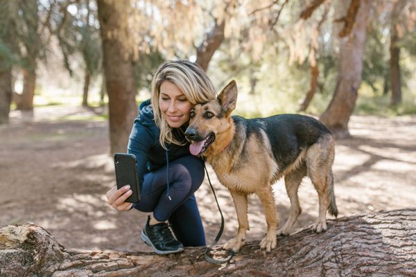 Everything Marketers Need to Know About Pet Influencers | SocialBook Guide